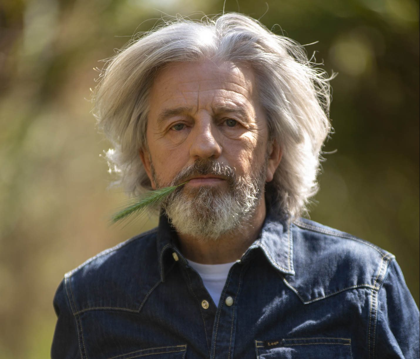 Ana Mills – International actors mgmt